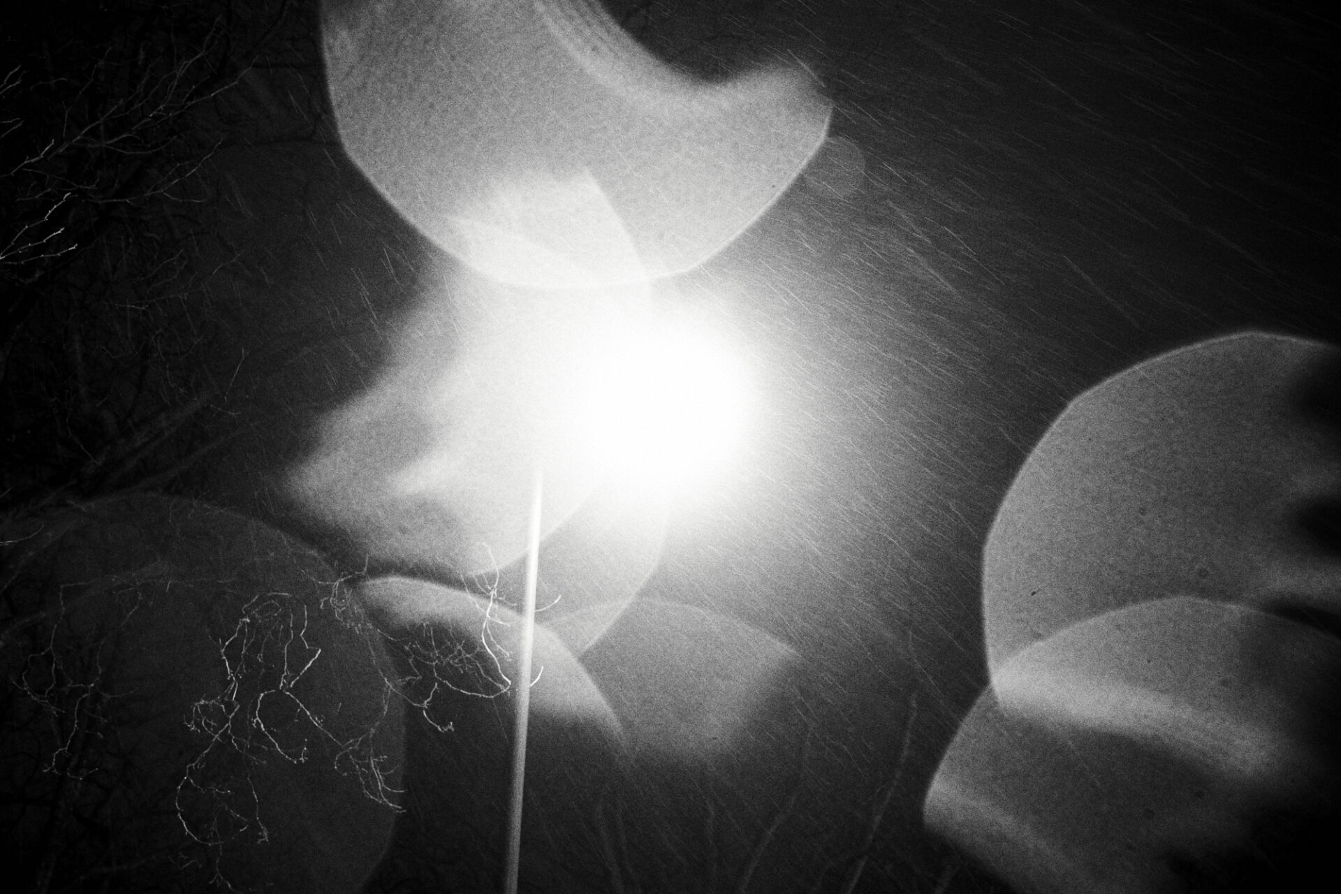 UVU Training Club. Personal Project by Ryan Edy. - CRXSS